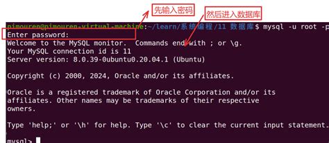 系统编程 数据库系统数据库编程 Csdn博客