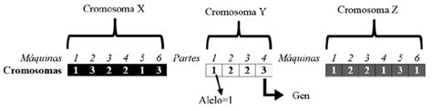 Ejemplo Codificación De Las Variables Download Scientific Diagram