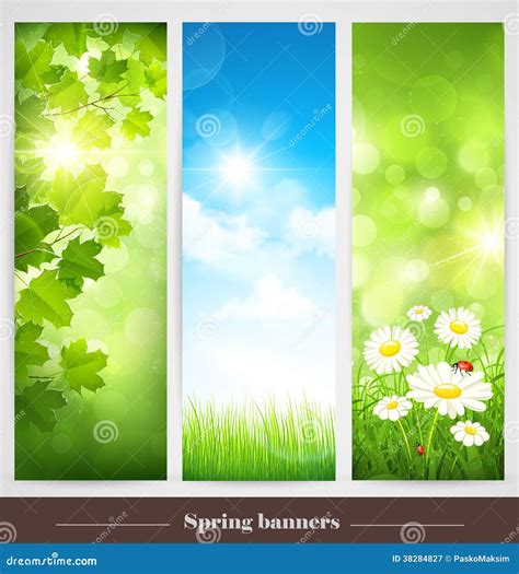 Spring Banners Stock Vector Illustration Of White Light 38284827