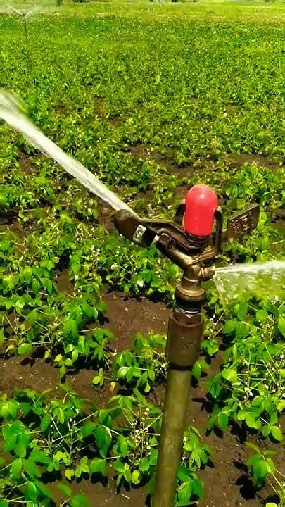 🥰so So Bari Mare Akeya 👨‍🌾shetakari Song Status🌹👨‍🌾shetakari Raja🌹