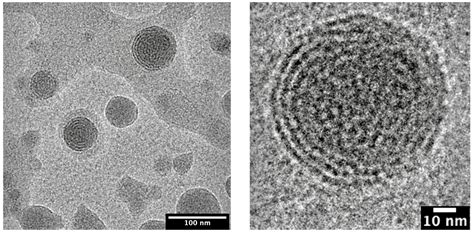 New Lipid Nanoparticles Break Barriers In Drug Delivery Mirage News