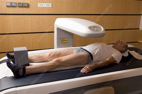 Bone Densitometry Examination Stock Image C002 7372 Science Photo