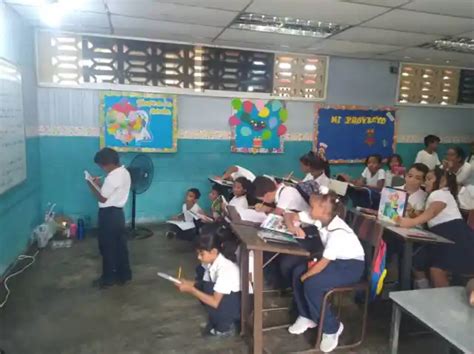 El 85 De Los Estudiantes De Sexto Grado En El País “no Comprenden Lo