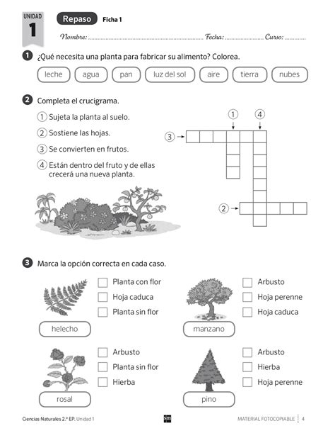 Pin En Ciencias Naturales