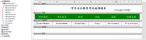 打印水晶报表 Csdn博客