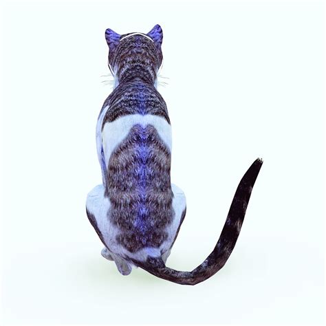 Obj File Cat Download Cat 3d Model Animated For Blender Fbx Unity