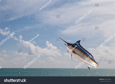 Marlin Swordfishsailfish Saltwater Fish Istiophorus On Stock Photo Shutterstock