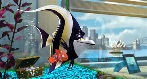 Elokuvan Taikaa Arvostelu Nemoa Etsimässä Finding Nemo 2003