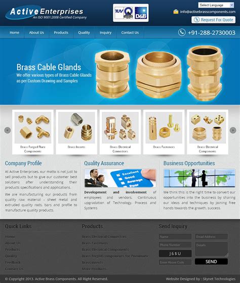 Active Enterprises Static Web Design Skynet Technologies