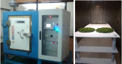 The Importance Of Drying Medicinal Herbs