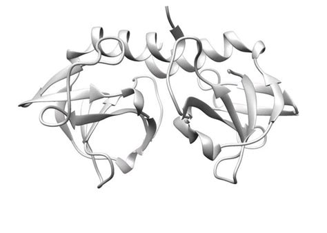 Figures And Data In Residue Proximity Information And Protein Model
