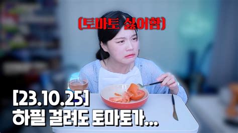 [23 10 25] 토마토 인생네컷 스트리밍캠과 소연이 나이에 대해 Asmr 먹방룰렛과 토마토 동달본 지코바 수박게임 왕잠시 이터널리턴 리액션타임