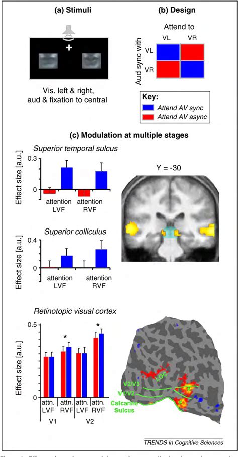 Pdf The Multifaceted Interplay Between Attention And Multisensory
