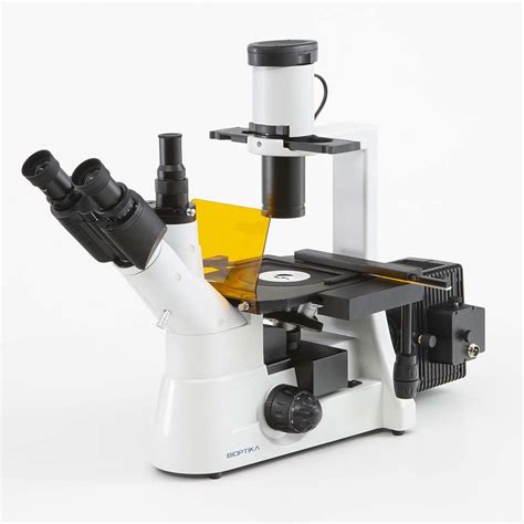 Microscópio Fluorescência • Ph Científica