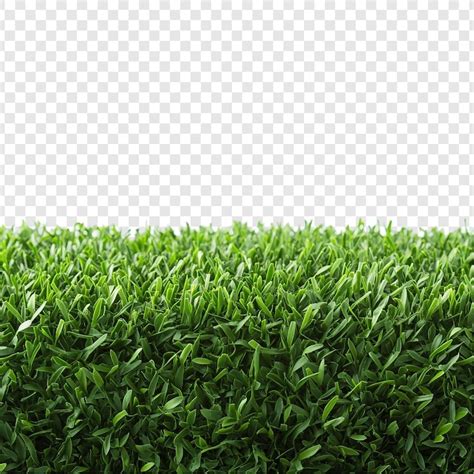 Psd Erba Texture Oltre Modelli Psd Gratuiti Di Alta Qualità Freepik