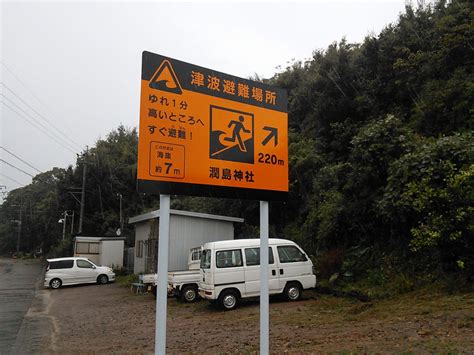 Tsunami Disaster Prevention And Green Infrastructure For The Nankai
