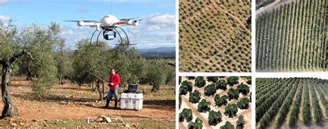 Drones To Help Farmers With Weed Control Robohub