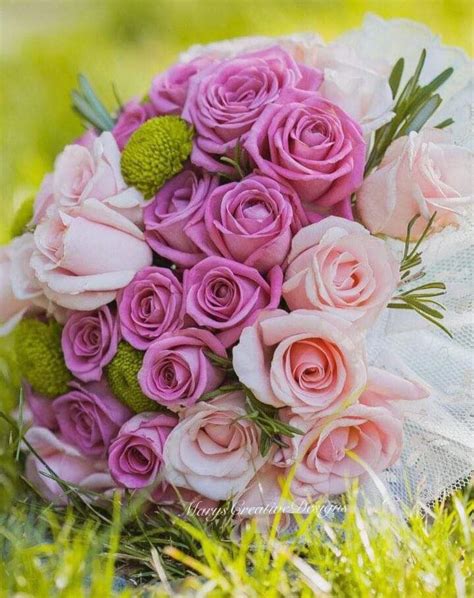 Аз жаргалын амин түлхүүр Ачлал хайрын Экстра Ургамал Төв