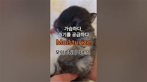 왕초보 영어 미국 어린이 3 5세와 부모가 가정에서 가장 많이 사용하는 영어 단어 192탄 영어반복 왕초보영어 기초영어단어 어린이영어 초보영어 왕기초영어 유아