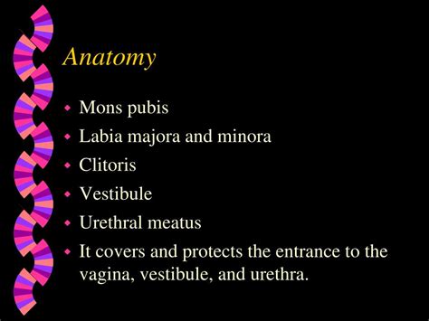 Ppt Vulvar Lesions Powerpoint Presentation Free Download Id347952