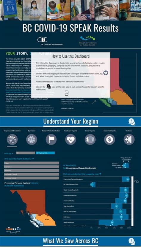 Why Us Vizable Insights