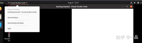 CSP J S 开发环境准备 VS Code Mac 知乎