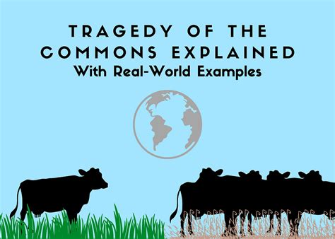Tragedy Of The Commons Explained