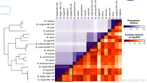 科研绘图系列：r语言树结构聚类热图（cluster Heatmap） R语言树图 Csdn博客