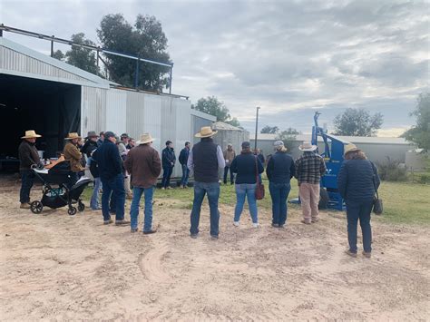 Lorawan Technology Expands In Goondi Region — Macintyre Ag Alliance