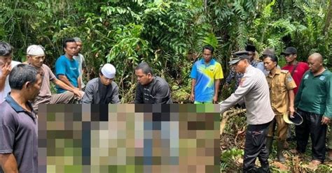 여기는 동남아 실종된 50대 여성 7m 비단뱀 뱃속에서 발견