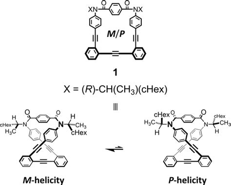 Chemical Structure Of Chiral Macrocyclic Element 1⁹ N 1 And Download Scientific Diagram