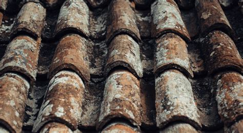 How To Identify And Repair Different Types Of Roof Damage Above Board Building Inspections