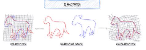 3d Deep Learning Essentials Ressources Roadmaps And Systems
