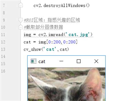 Pythonopencv视频的读取与处理；截取部分图像数据； 边界填充 云禅网络 机器视觉资讯