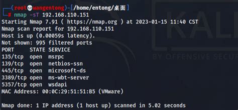 Namp的功能与使用 Csdn博客