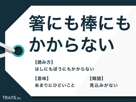 「箸にも棒にもかからない」とは？意味と語源・使い方を解説 Transbiz