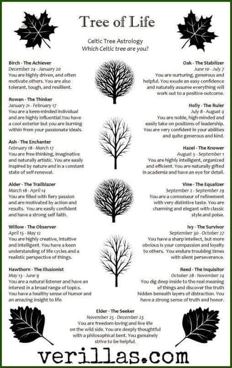 Rowan Tree On Tumblr