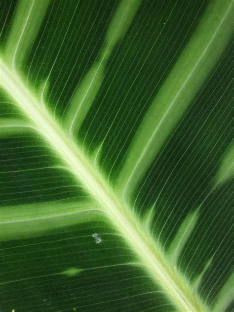 Create Realistic Texture In Your Artwork