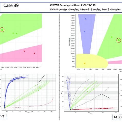 Taqman Genotyper Real Time Pcr Data Plots For The Cyp2d6 C100ct