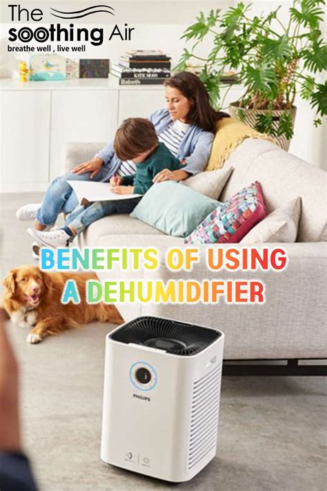 Top 5 Benefits Of Using A Dehumidifier In Your Home Artofit