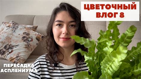 ЦВЕТОЧНЫЙ ВЛОГ 8 Пересадка АСПЛЕНИУМА покупки и разговоры о РАСТЕНИЯХ Youtube