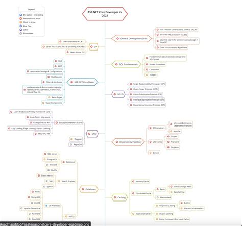 Học Gì để Trở Thành C Developer Những Kiến Thức Quan Trọng