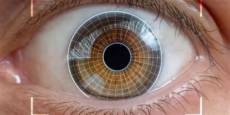 Retina Of The Eye Structure And Function Of The Retina In Vision