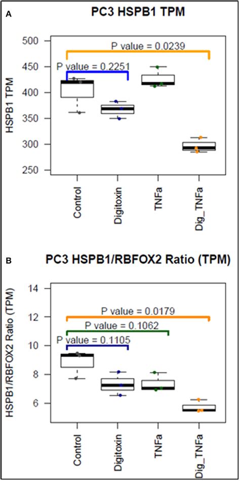 Effect Of Digitoxin On Hspb1 And Rbfox2 Mrna Expression In Pc3 Cells