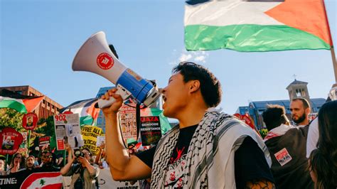 Voices From The Palestine Solidarity Movement Peoples Dispatch