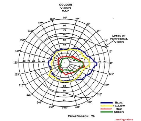 Healthy Body Healthy Mind Visual Field Determination