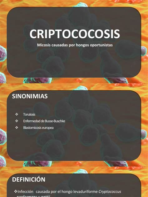 Criptococosis Una Infección Oportunista Causada Por El Hongo