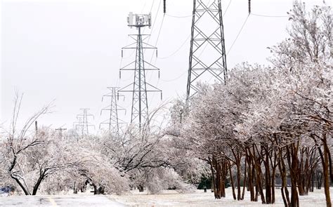 Prevén Caída De Nieve Y Bajas Temperaturas Por Tormenta Invernal Hoy
