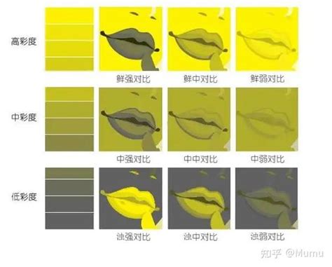 色彩基础——色相对比 知乎