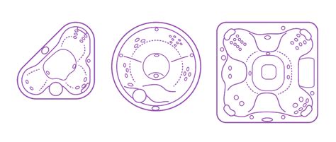 Hot Tubs Dimensions And Drawings